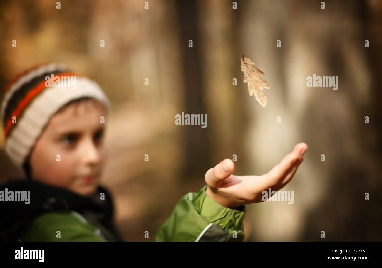 Hand catching leaf hi-res stock photography and images - Alamy