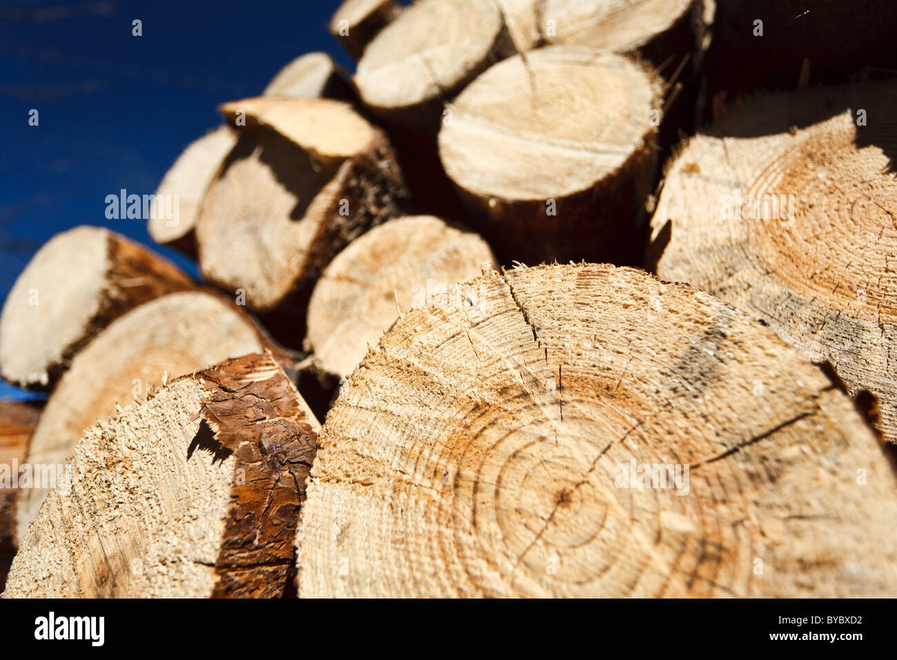 Stack of logs against the deep blue sky Stock Photo - Alamy