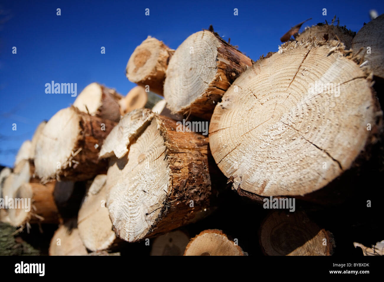 Stack of logs against the deep blue sky Stock Photo - Alamy