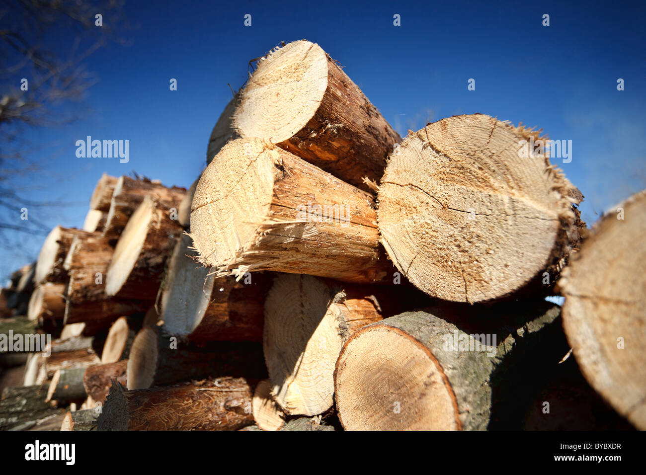 Stack of logs against the deep blue sky Stock Photo - Alamy