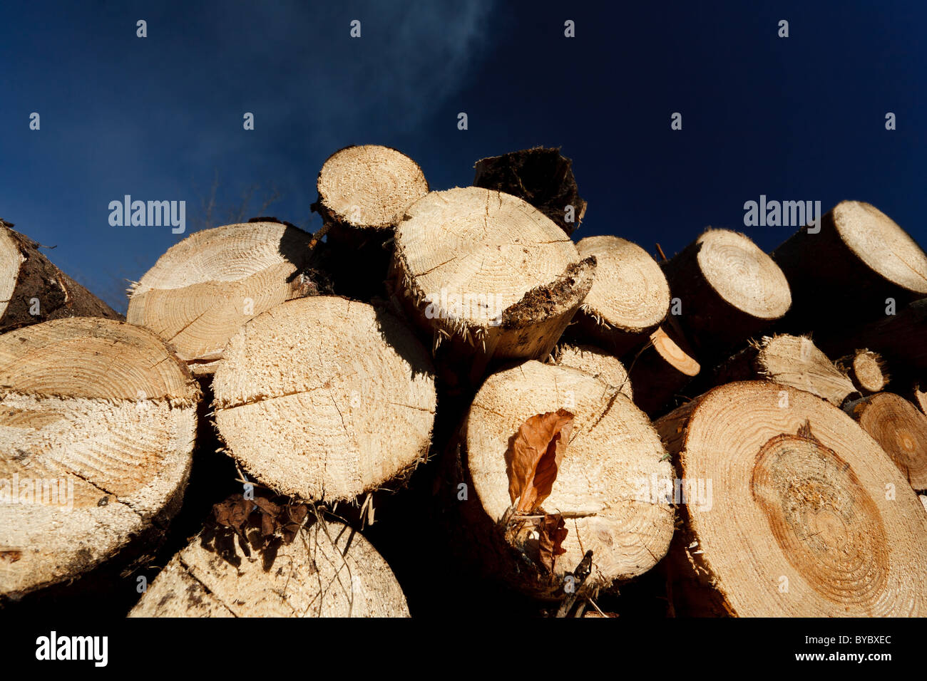 Stack of logs against the deep blue sky Stock Photo - Alamy