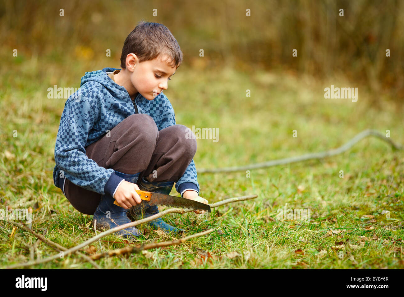Birch rod hi-res stock photography and images - Alamy