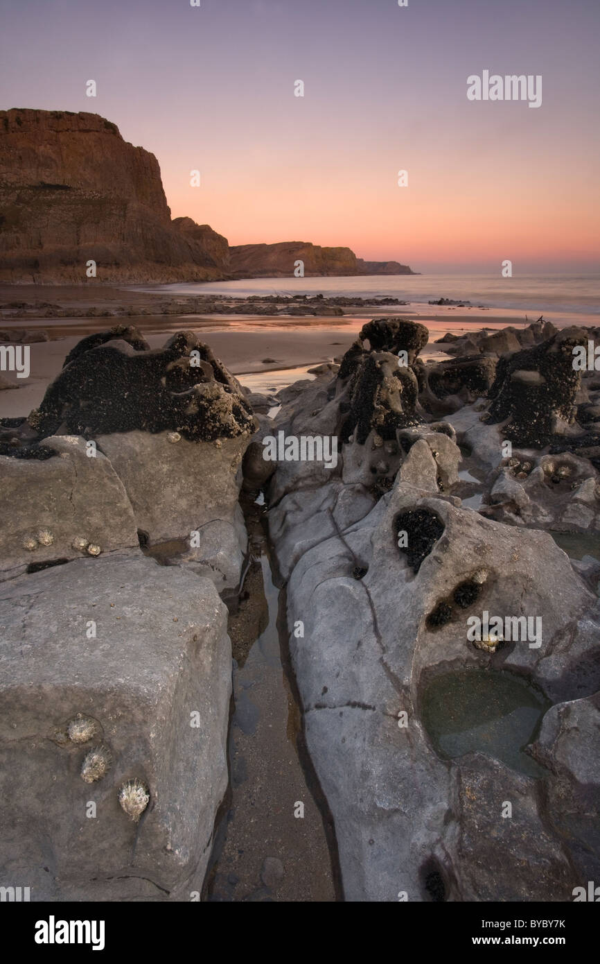 View towards the cliffs of Fall Bay at Sunset Rhossili Gower Peninsula ...