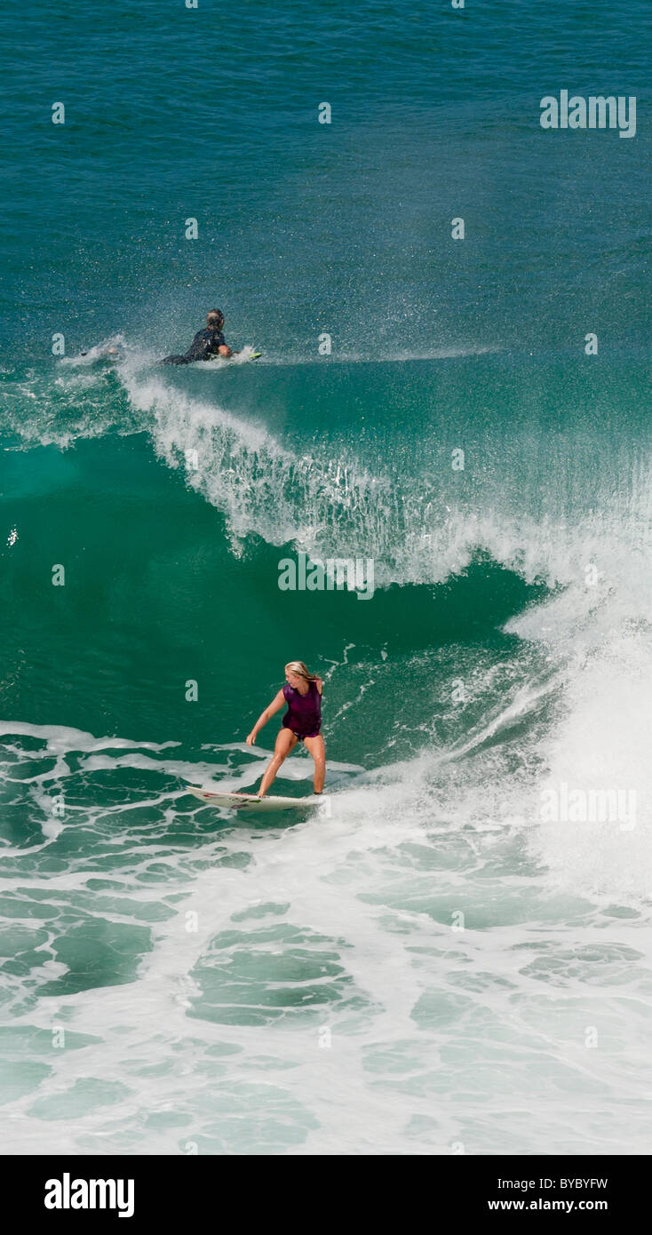 Sharkeisha Soul Surfer