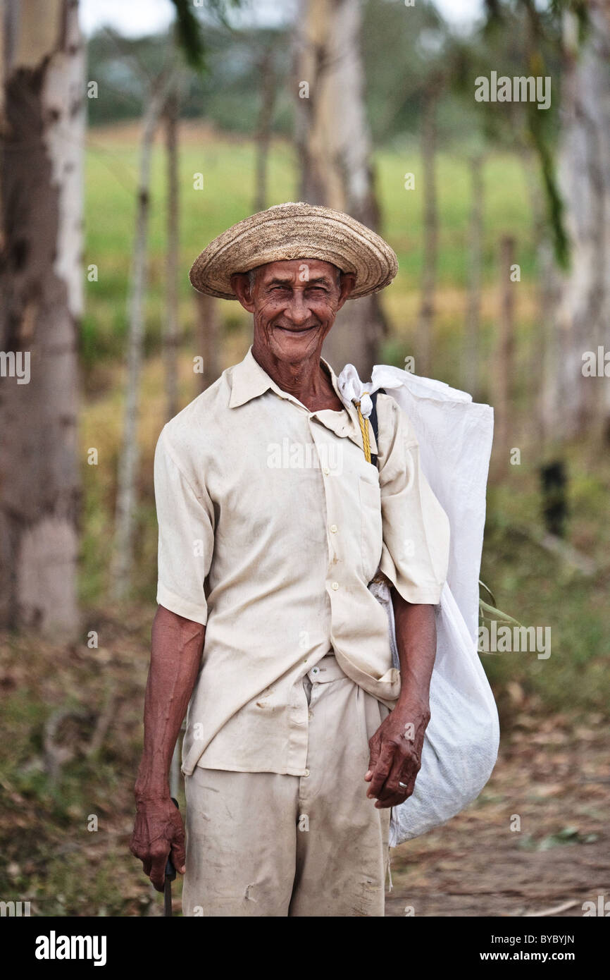 Panamanian field worker in Santa Maria, Herrera province, Republic of ...