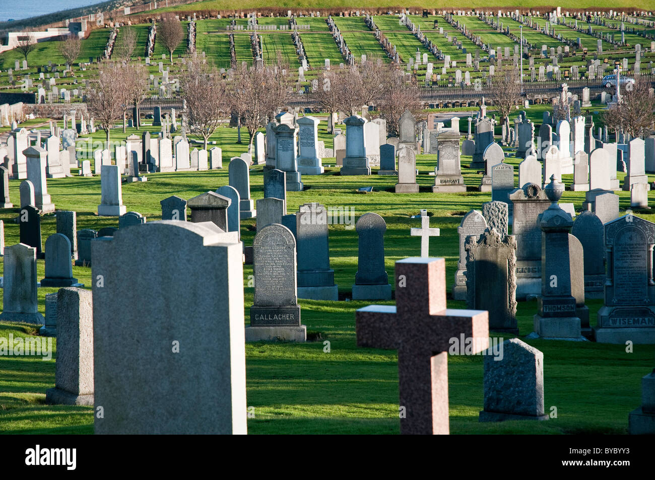Crowded and huge Trinity cemetery, Aberdeen Stock Photo - Alamy