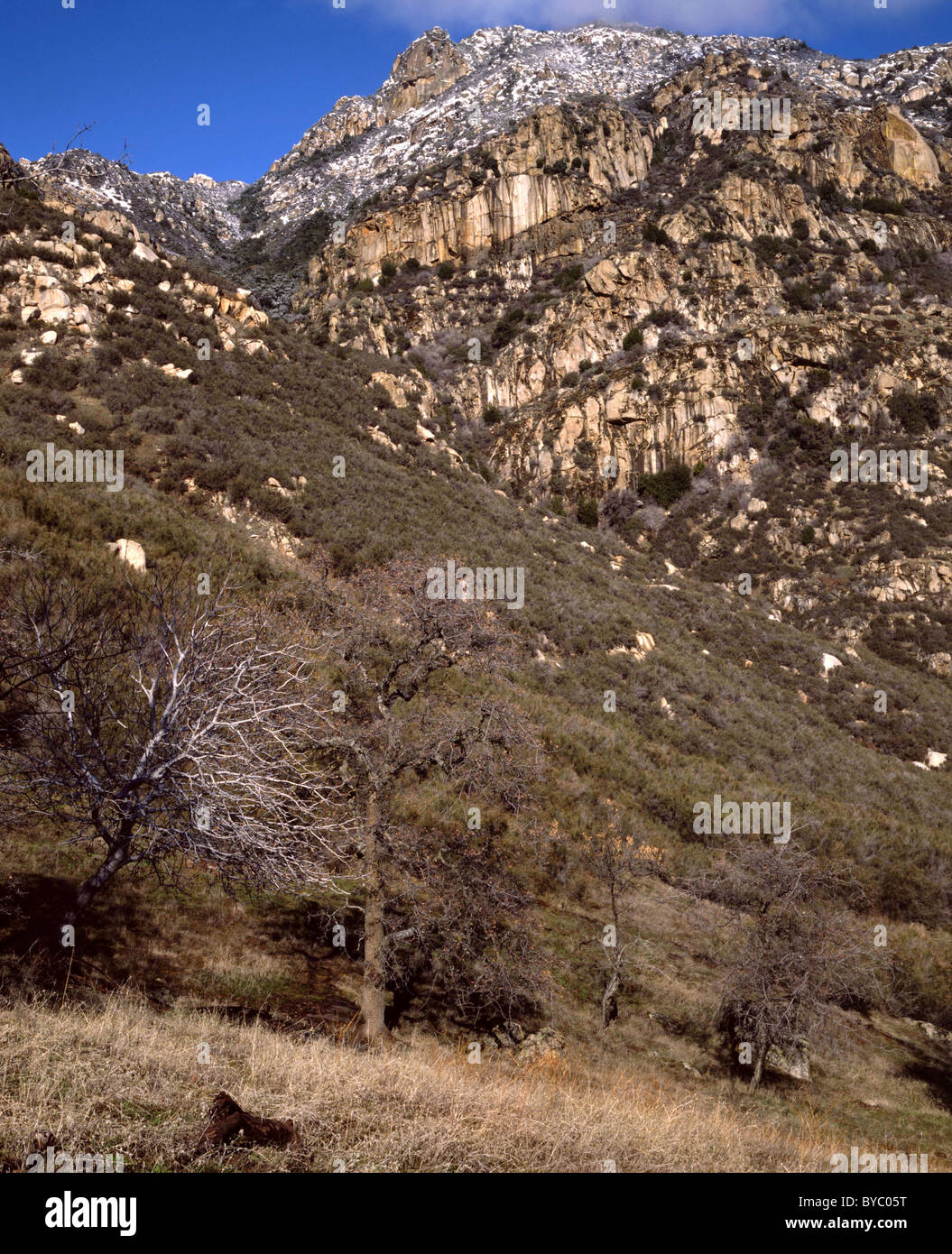 Foothills, Sequoia and Kings Canyon National Park, California Stock ...