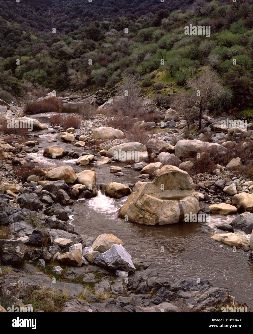 Foothills, Kaweah River, Sequoia and Kings Canyon National Park ...