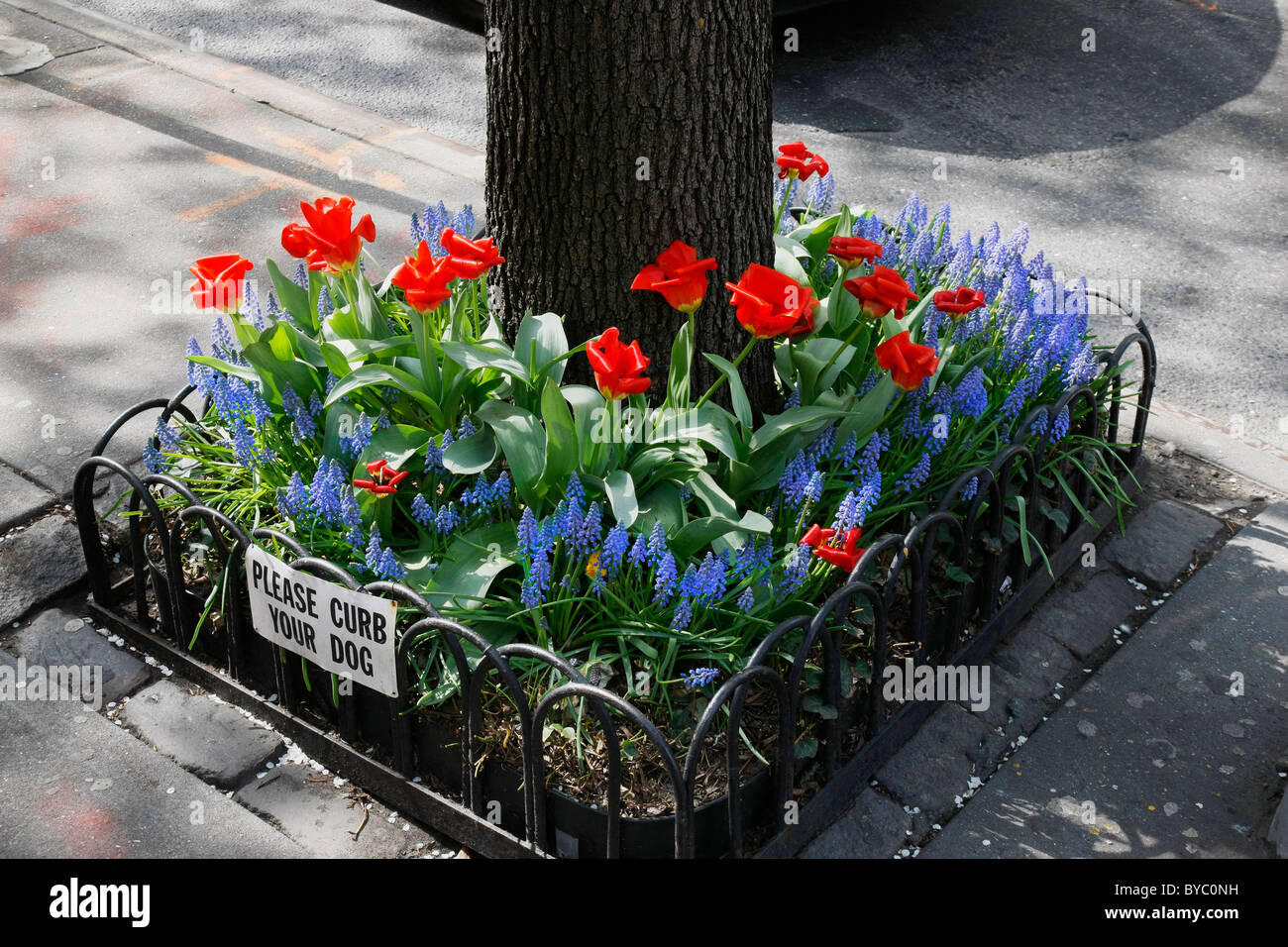 High street in bloom hi-res stock photography and images - Alamy