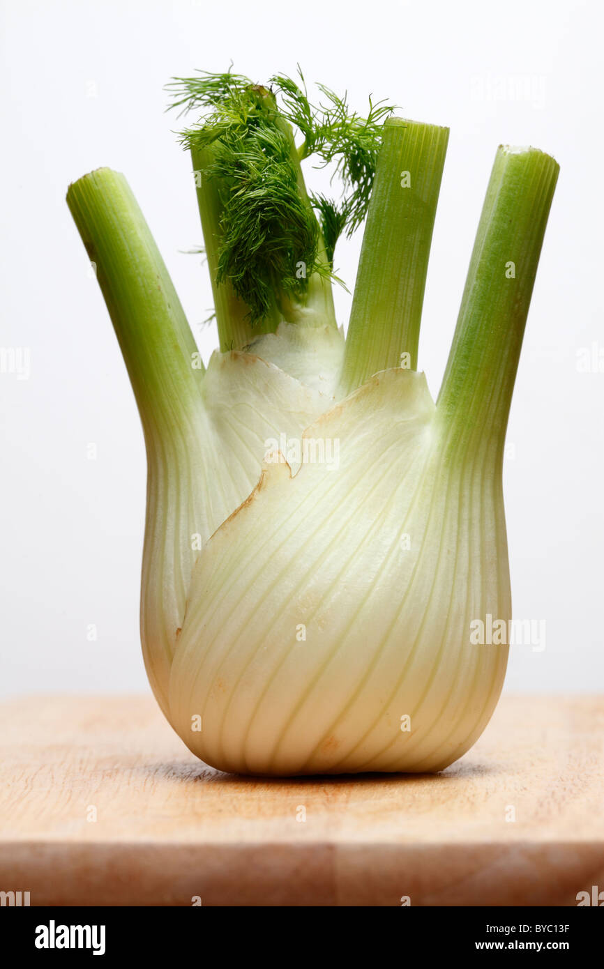Fennel Foeniculum vulgare herb vegetable Stock Photo - Alamy