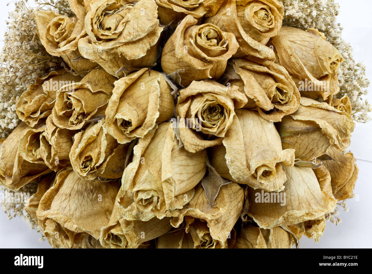 Dried roses bouquet isolated on white background Stock Photo - Alamy