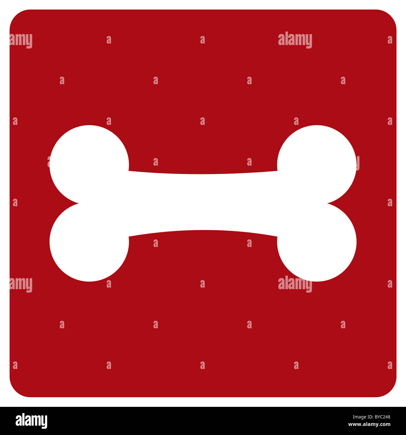 white bone on red background vector Stock Photo - Alamy