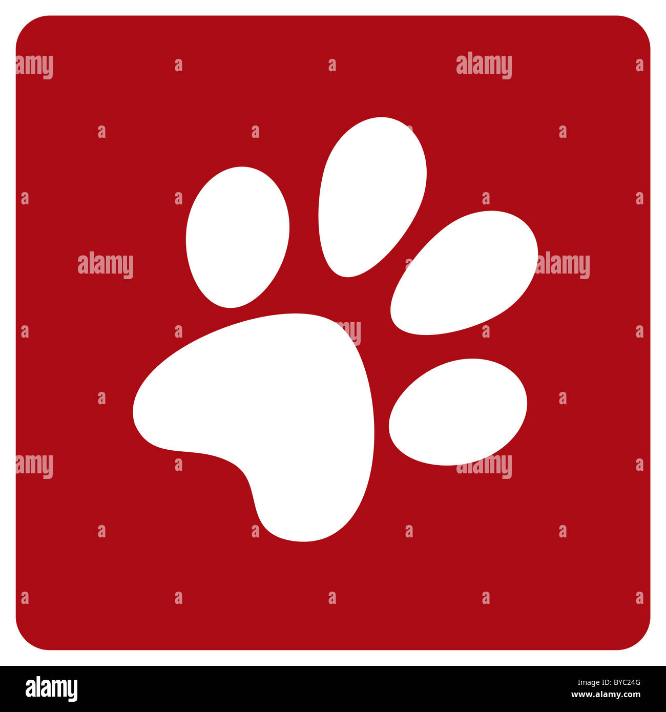 white dog footprint on red blakground Stock Photo - Alamy