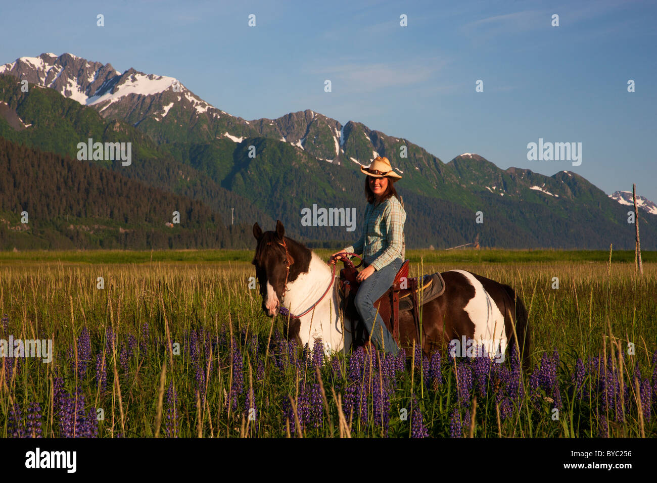 Horseback ride alaska hi-res stock photography and images - Alamy