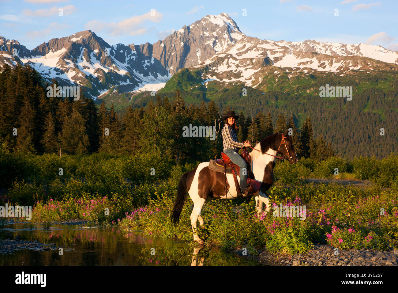 Horseback ride alaska hi-res stock photography and images - Alamy