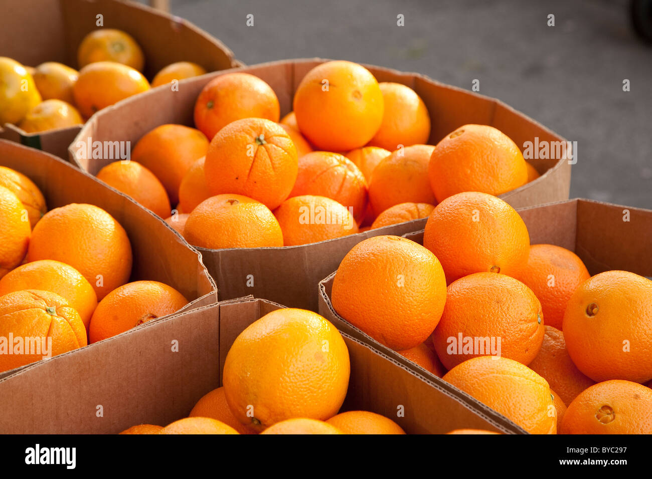 Oranges for sale at the Dong Sing Market in the International District ...