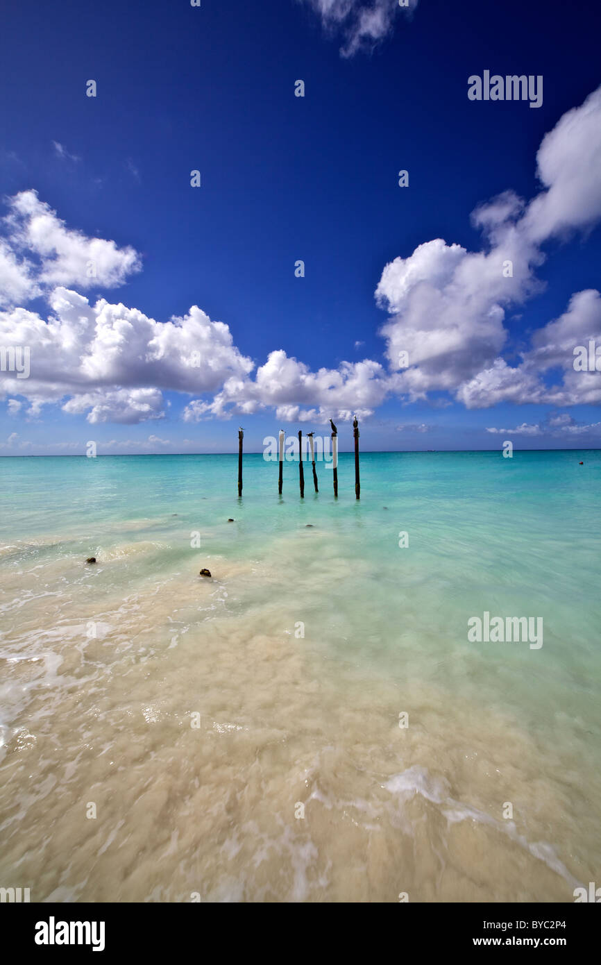 Aruba ocean hi-res stock photography and images - Alamy
