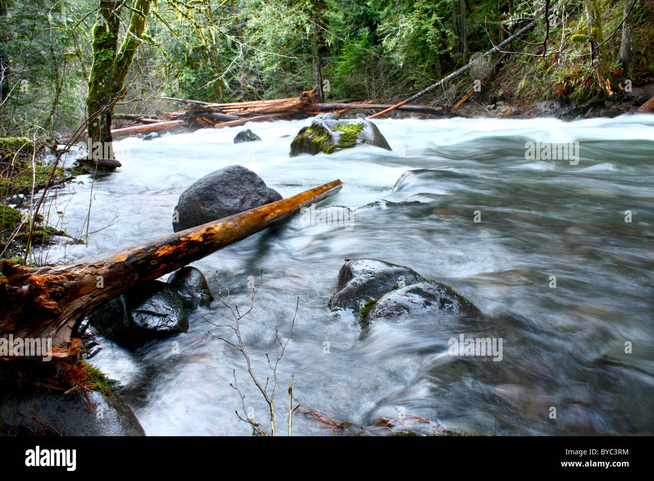 The Roaring River at storm level, with the high water flowing over its ...