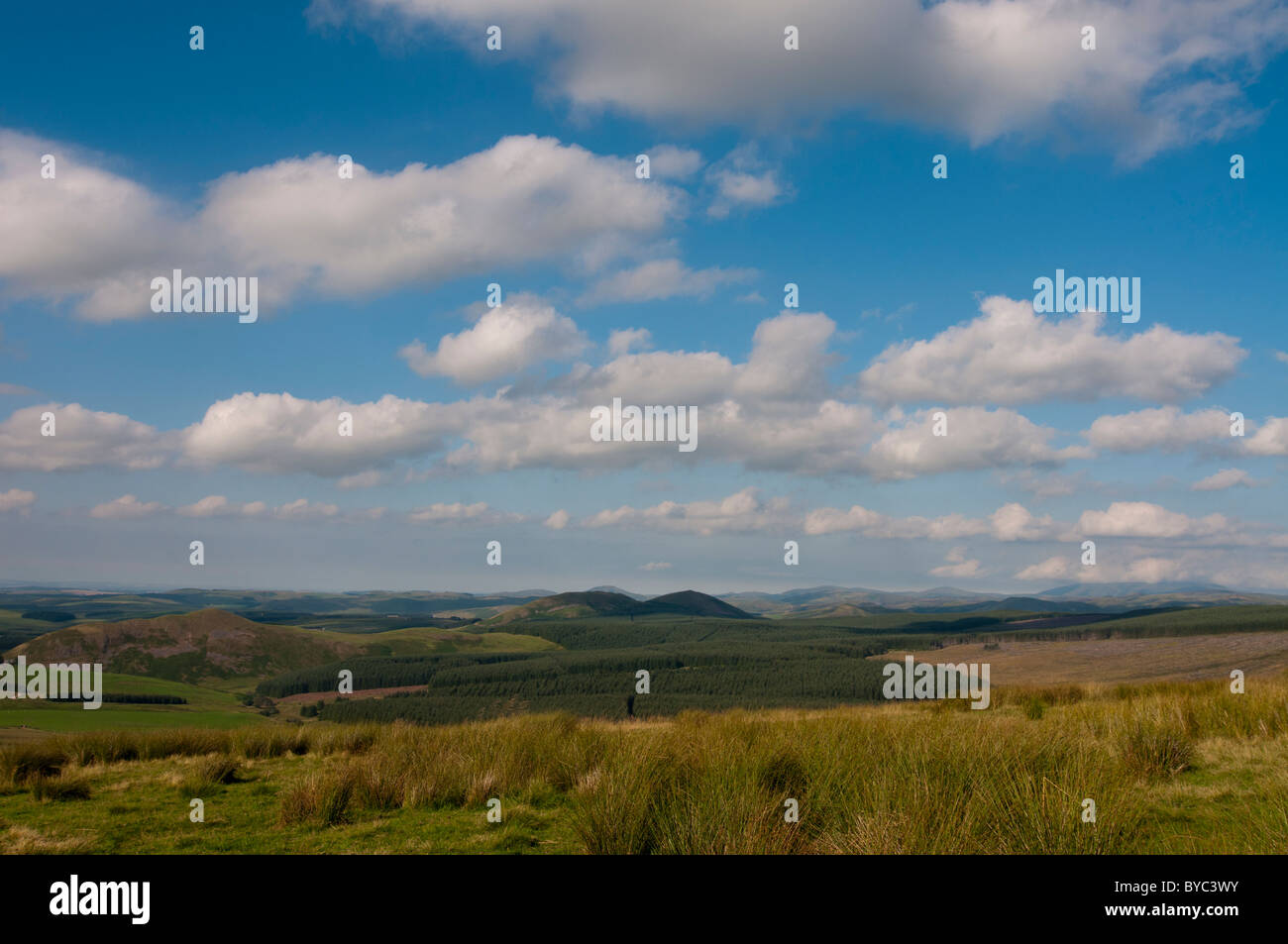Carter bar border crossing hi-res stock photography and images - Alamy