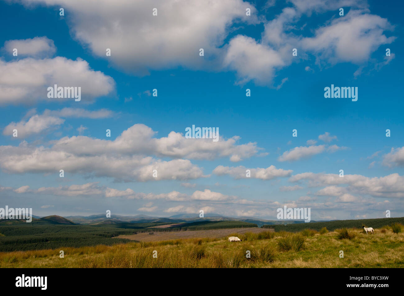 Carter bar border crossing hi-res stock photography and images - Alamy