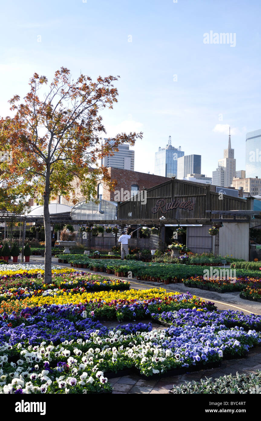 Texas dallas farmers market hi-res stock photography and images - Alamy