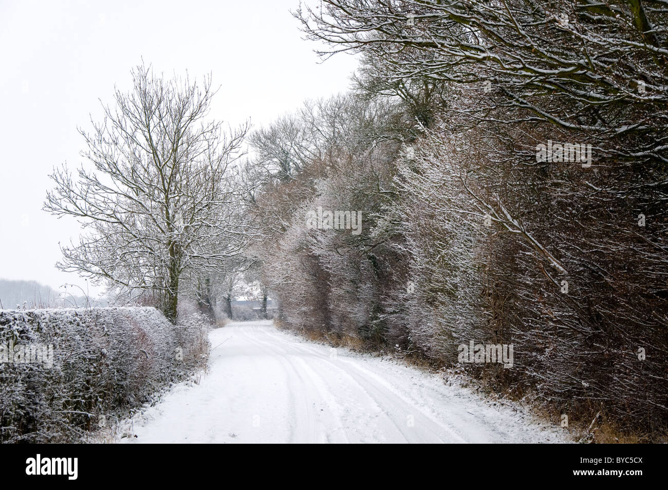 Snow covered country lane, Bunny, Nottingham, England Stock Photo - Alamy