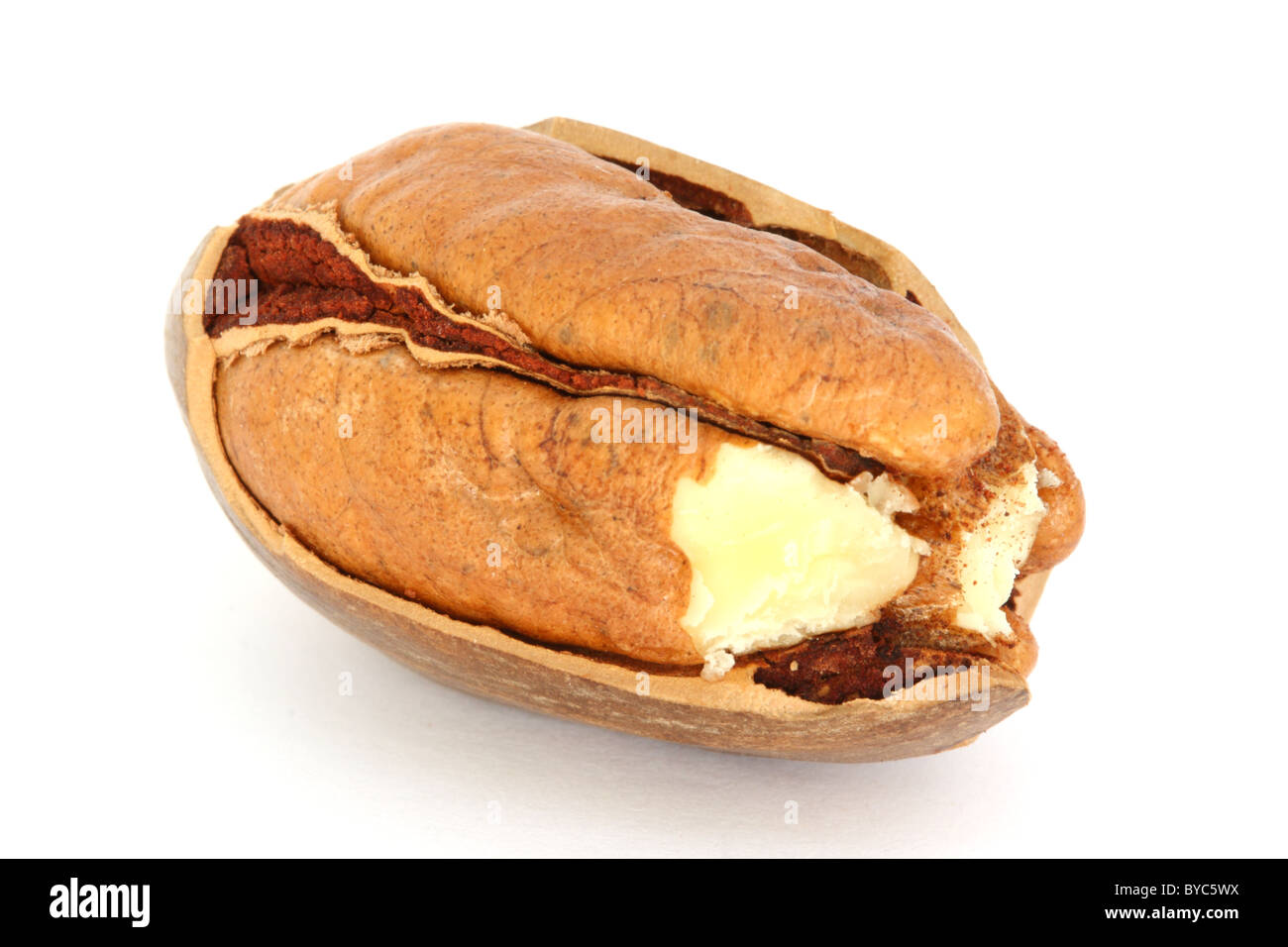 Detail view of single pecan nut and nut-cracker on white background ...