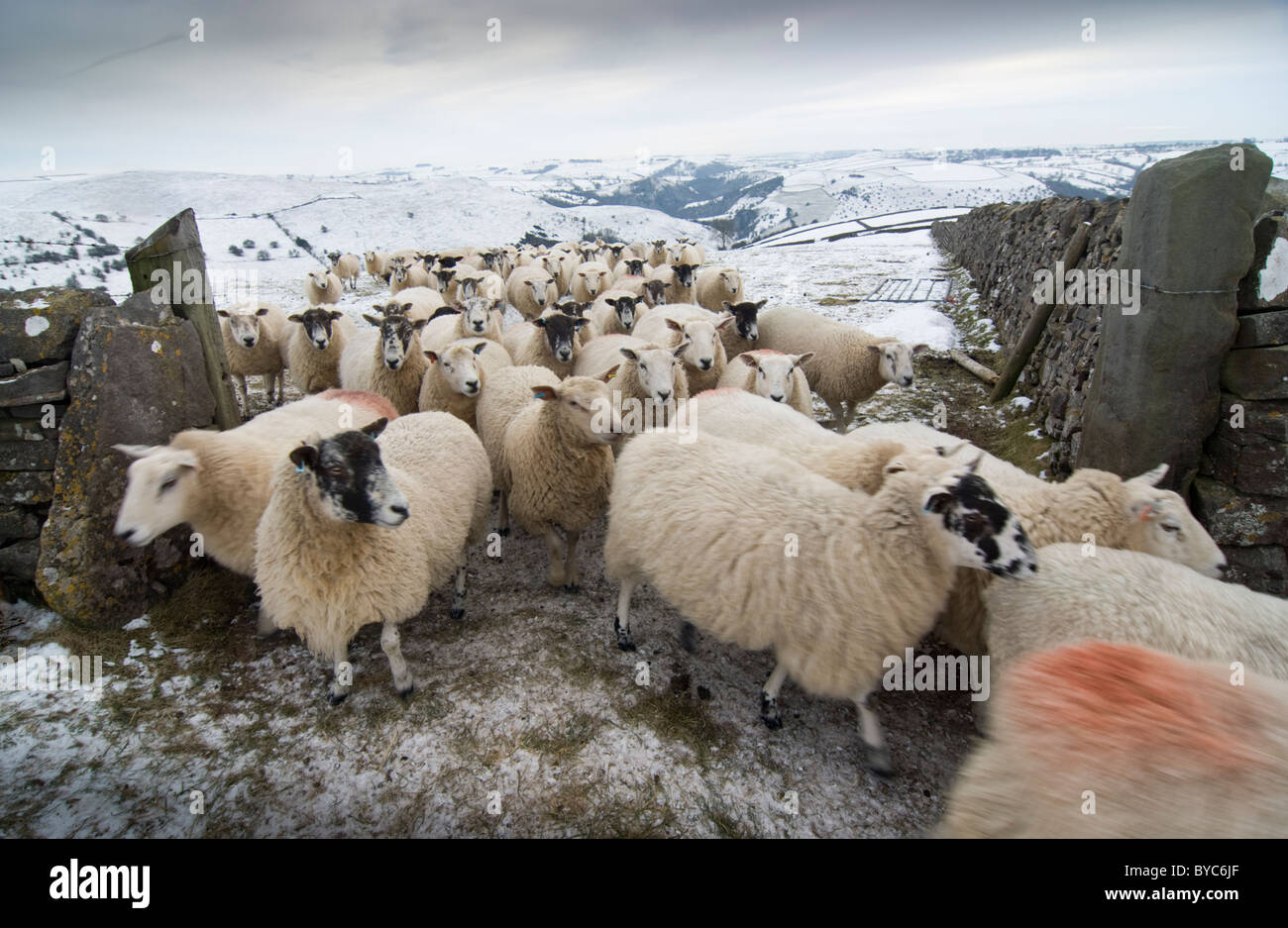 Ecton hill hi-res stock photography and images - Alamy