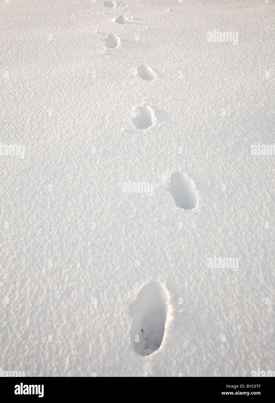 Disappearing footprints hi-res stock photography and images - Alamy