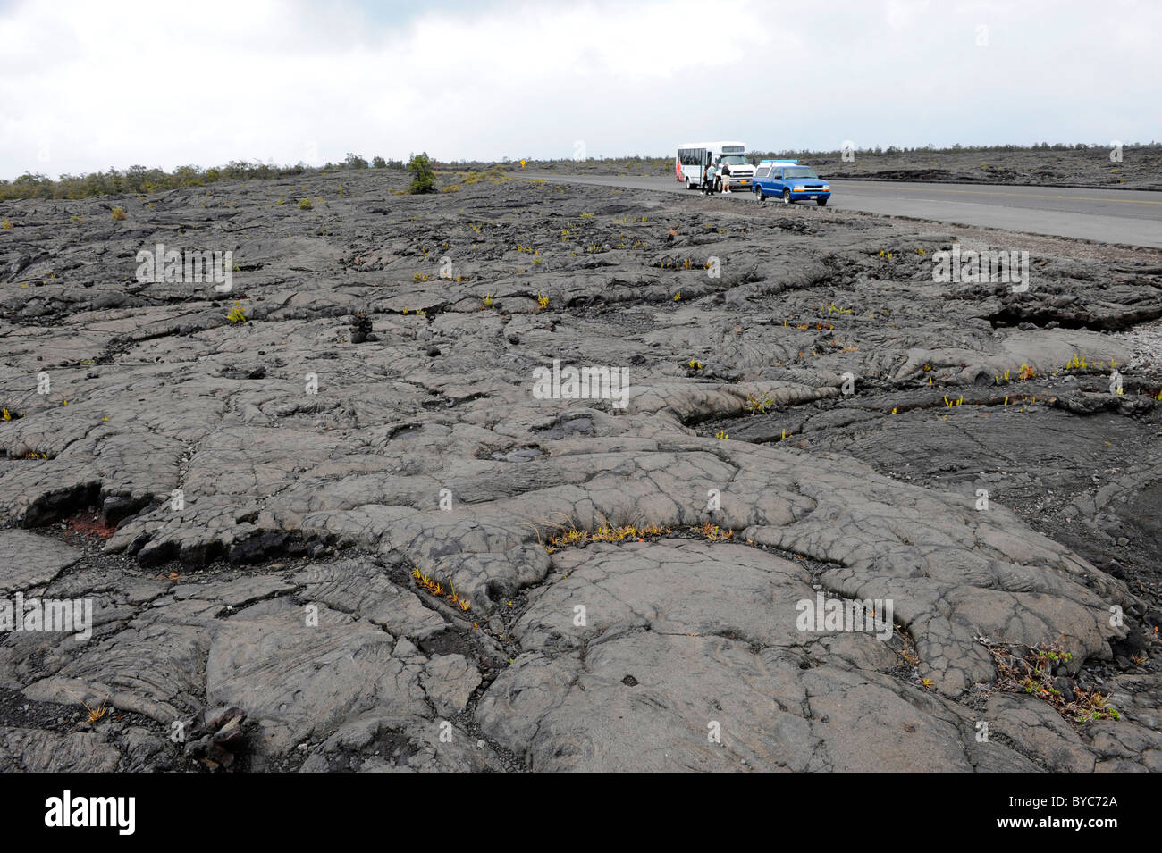 Hardened lava Hawaii Volcanoes National Park Pacific Ocean Kilauea ...