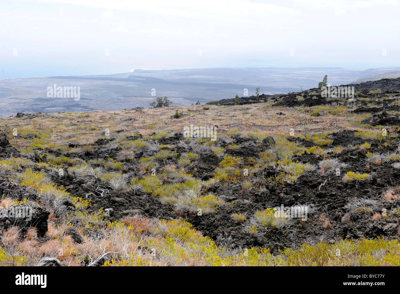 Varied Terrain Contrast Chain of Craters Road Hawaii Volcanoes National ...
