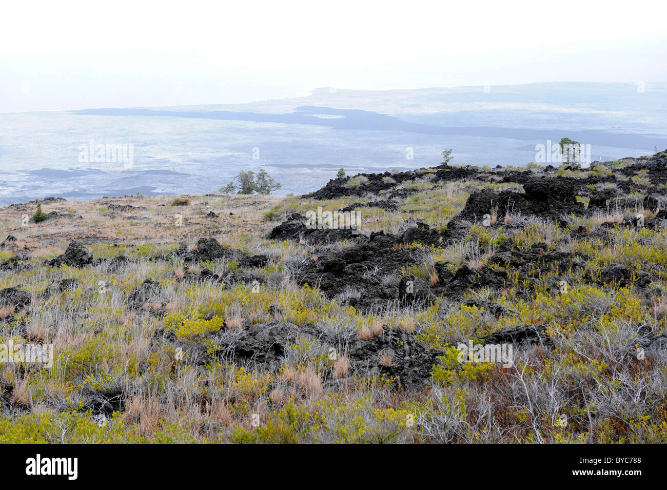 Varied Terrain Contrast Chain of Craters Road Hawaii Volcanoes National ...