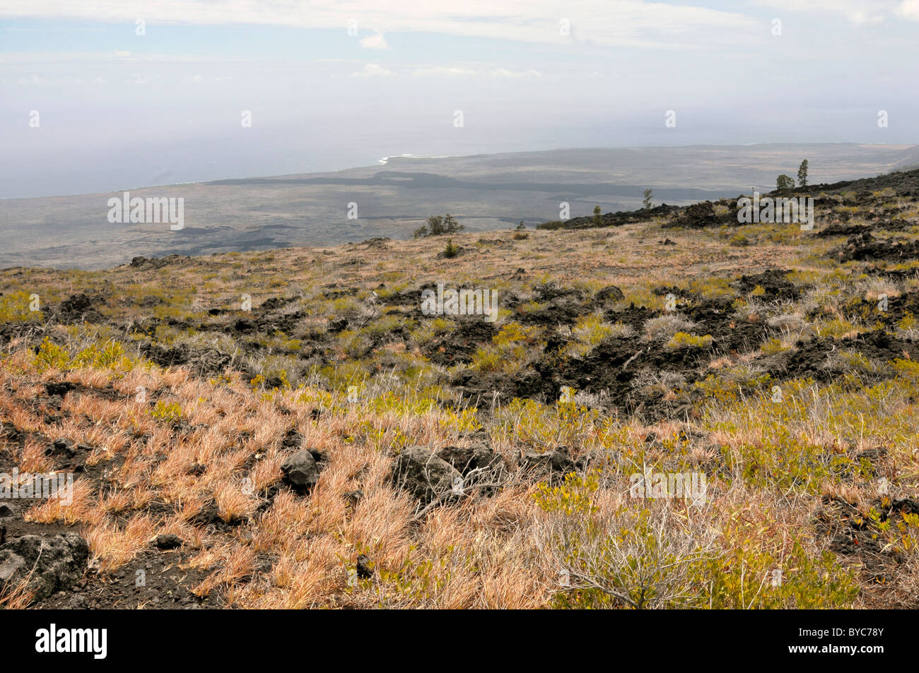 Varied Terrain Contrast Chain of Craters Road Hawaii Volcanoes National ...