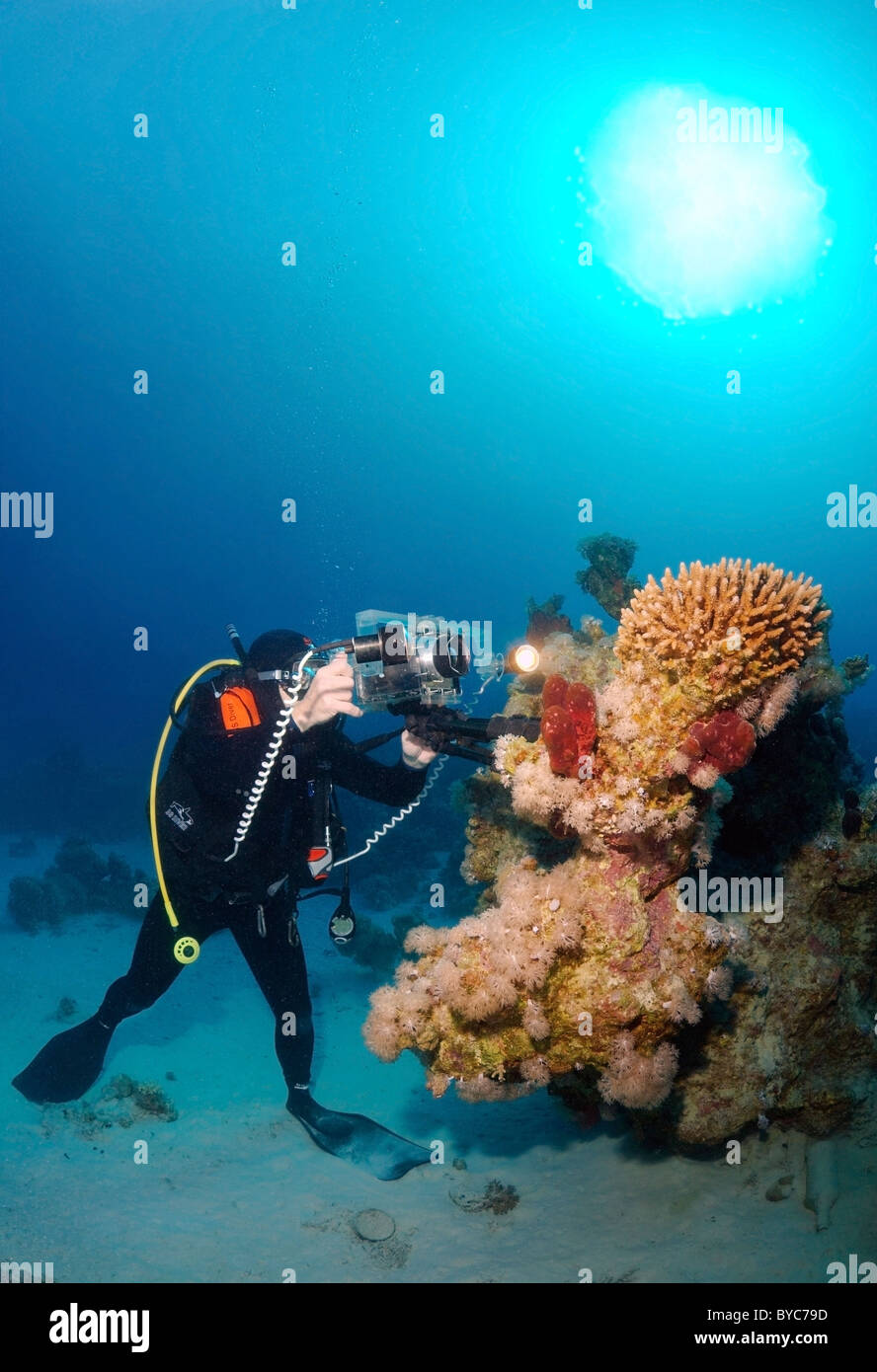 Aquarium operator hi-res stock photography and images - Alamy