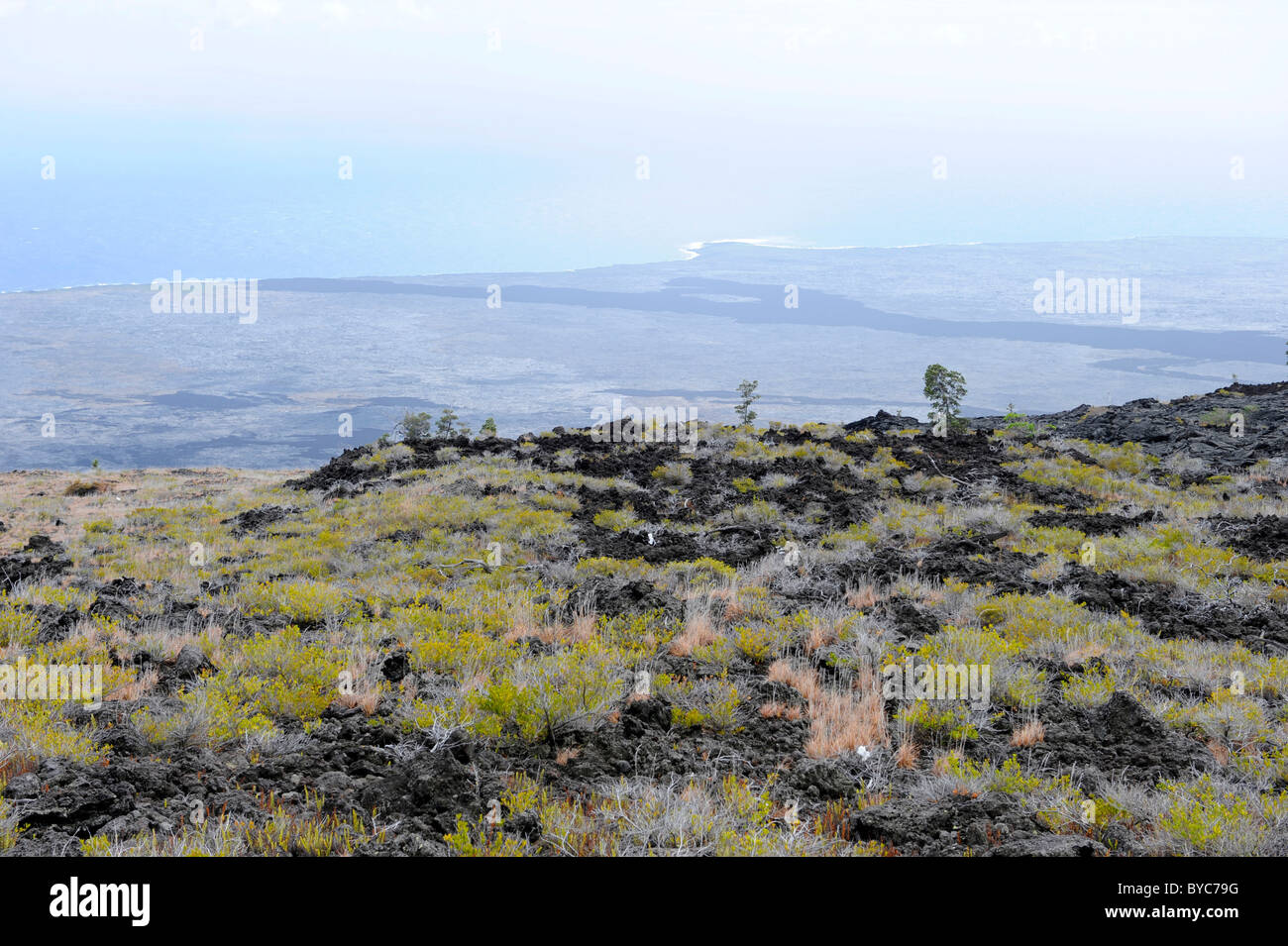 Varied Terrain Contrast Chain of Craters Road Hawaii Volcanoes National ...