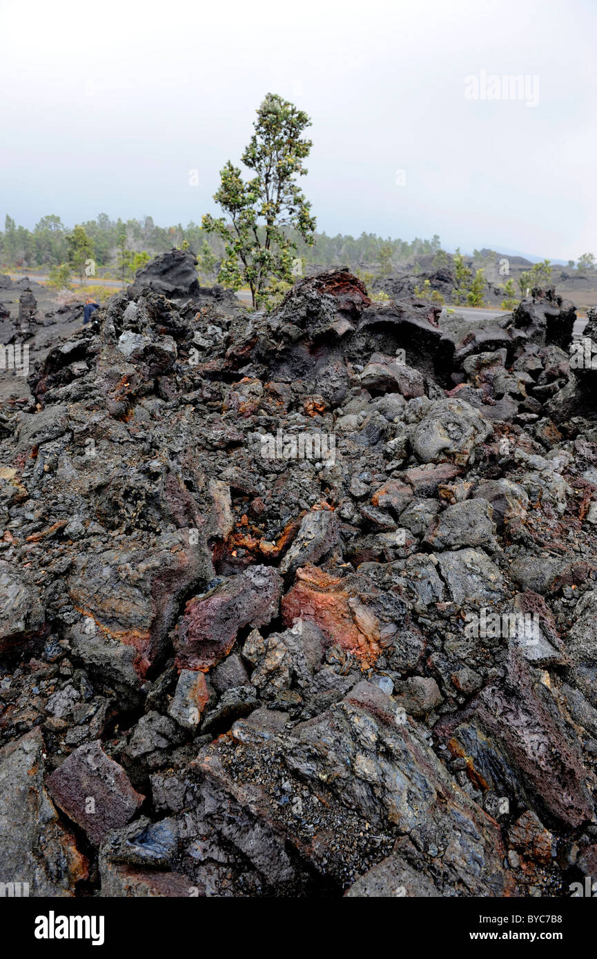 Lava Rock Chain of Craters Road Hawaii Volcanoes National Park Pacific ...