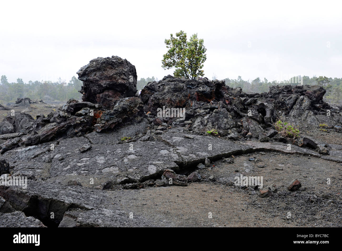 Lava Rock Chain of Craters Road Hawaii Volcanoes National Park Pacific ...