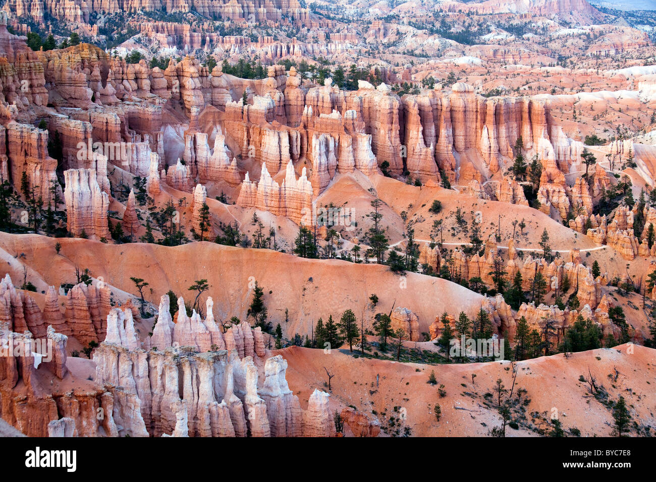Bryce Canyon National Park Stock Photo - Alamy