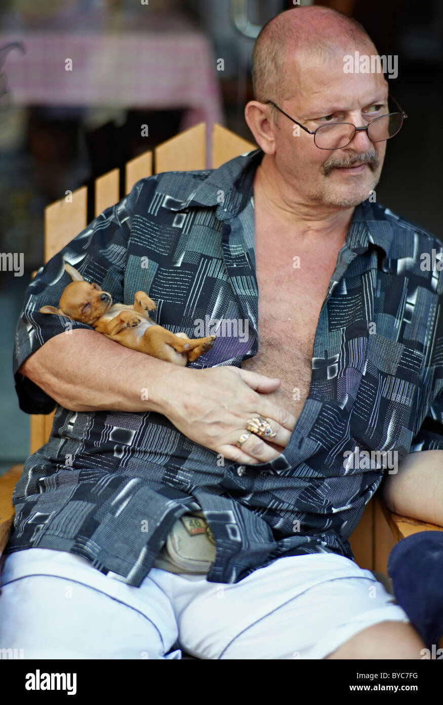 Man owner chihuahua dog hi-res stock photography and images - Alamy