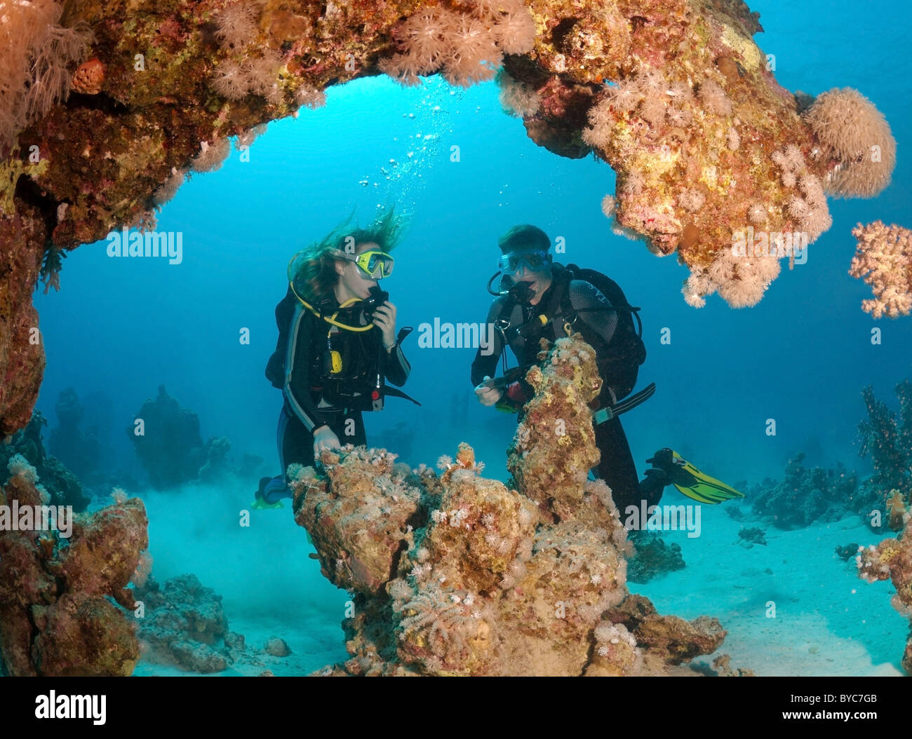 Biological divers hi-res stock photography and images - Alamy