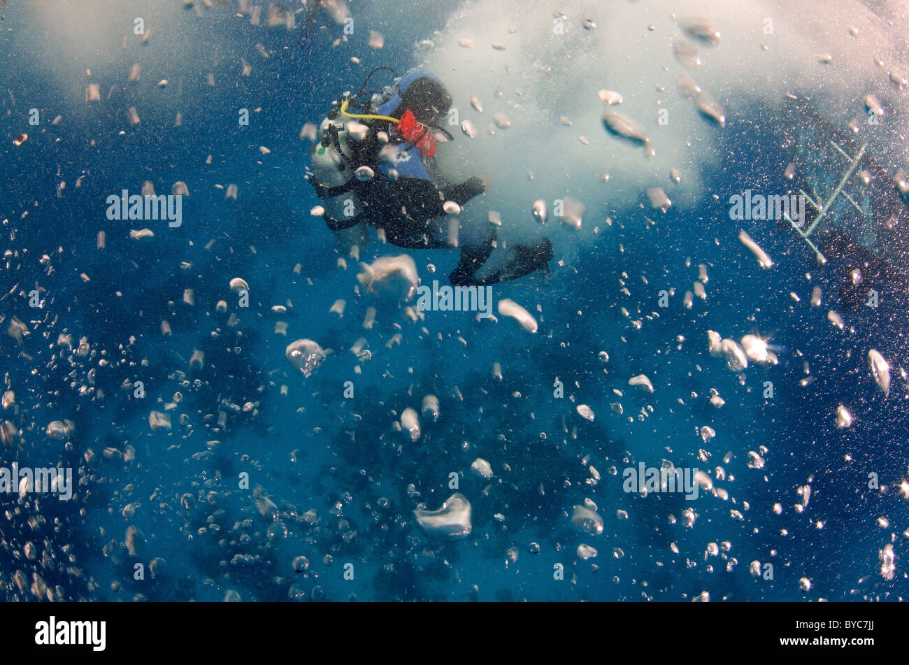 scuba divers jumping with a diving bot and immersed in bubbles Stock ...
