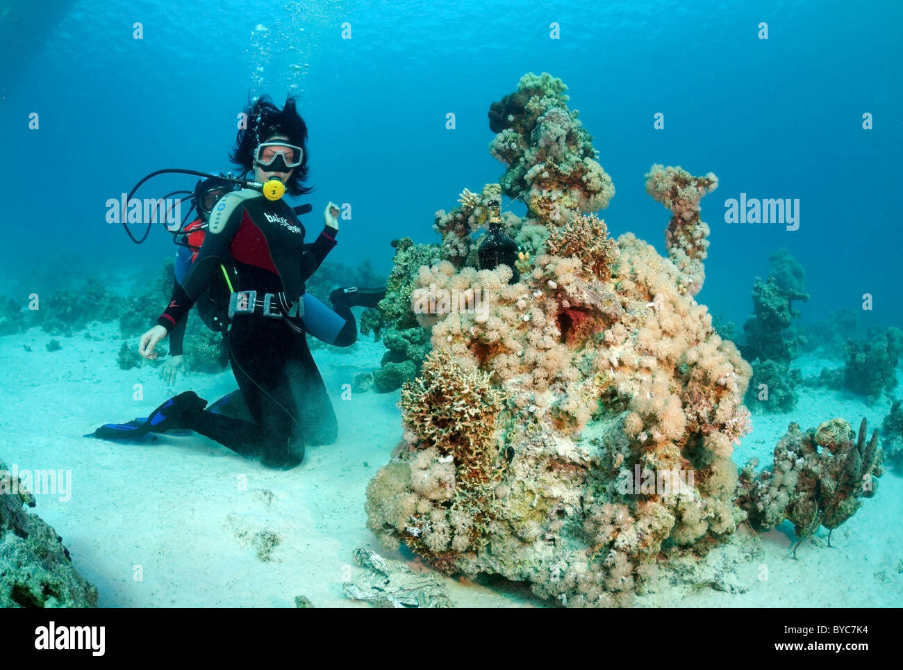 Divers red sea hi-res stock photography and images - Alamy