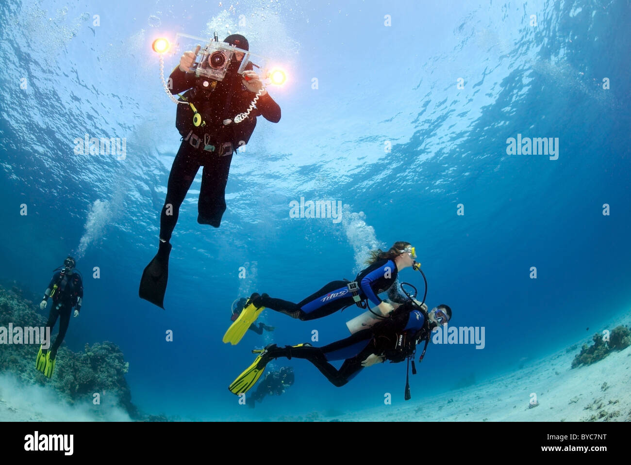 Group of scuba divers swim in the blue water near coral reef Stock ...