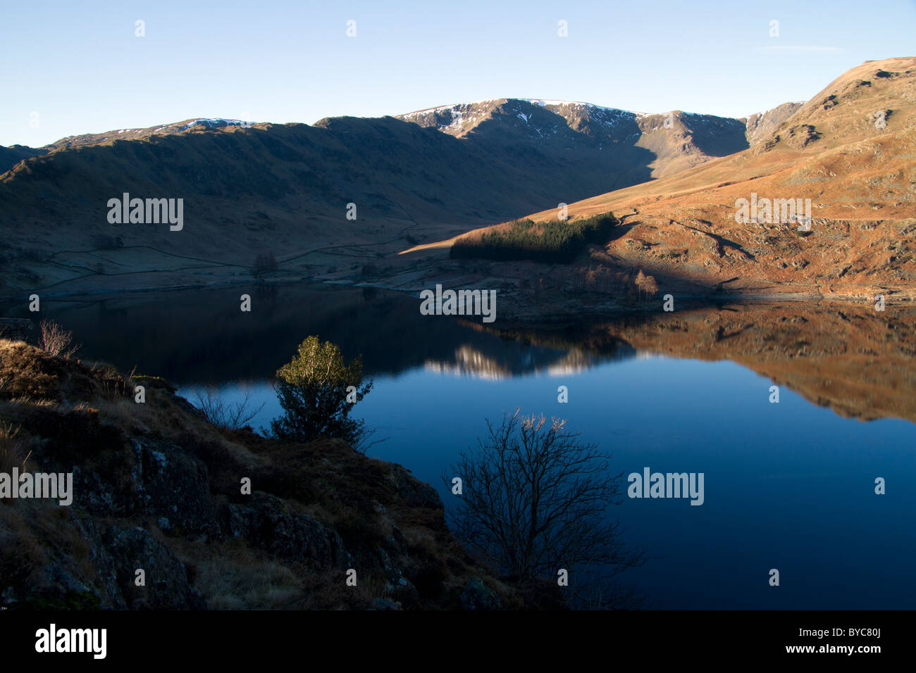 Early morning in January with the air temperature at -5 but a bright ...