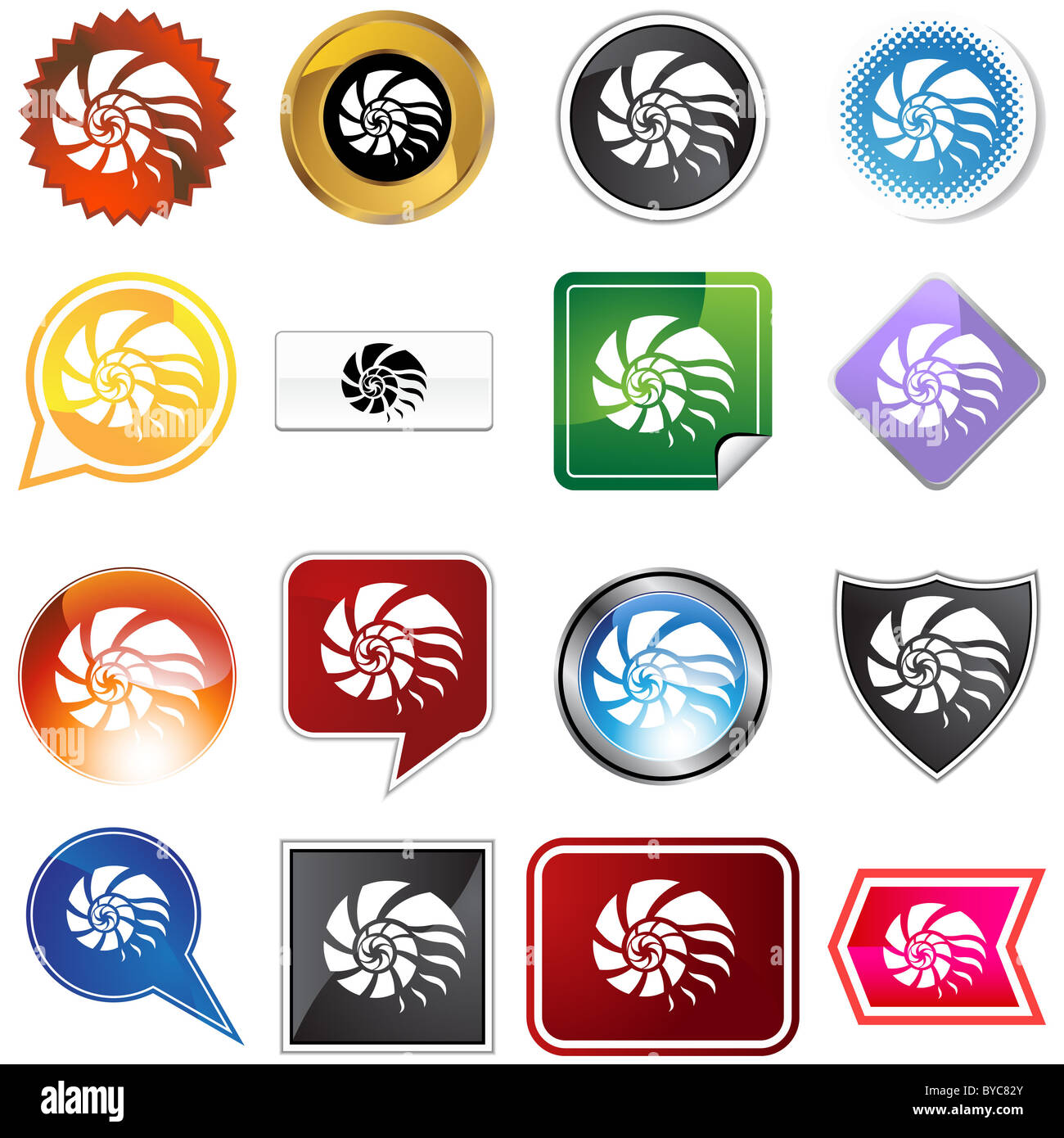 Shell variety set isolated on a white background Stock Photo - Alamy