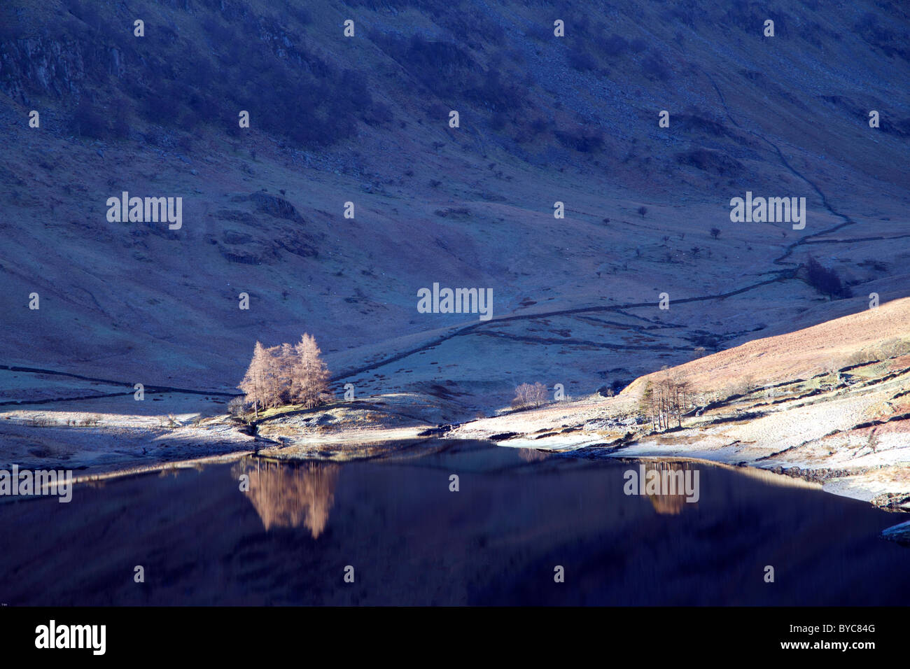 Haweswater trees lake district hi-res stock photography and images - Alamy