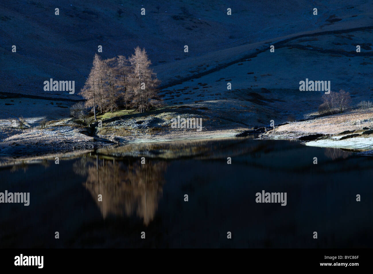 Haweswater trees lake district hi-res stock photography and images - Alamy
