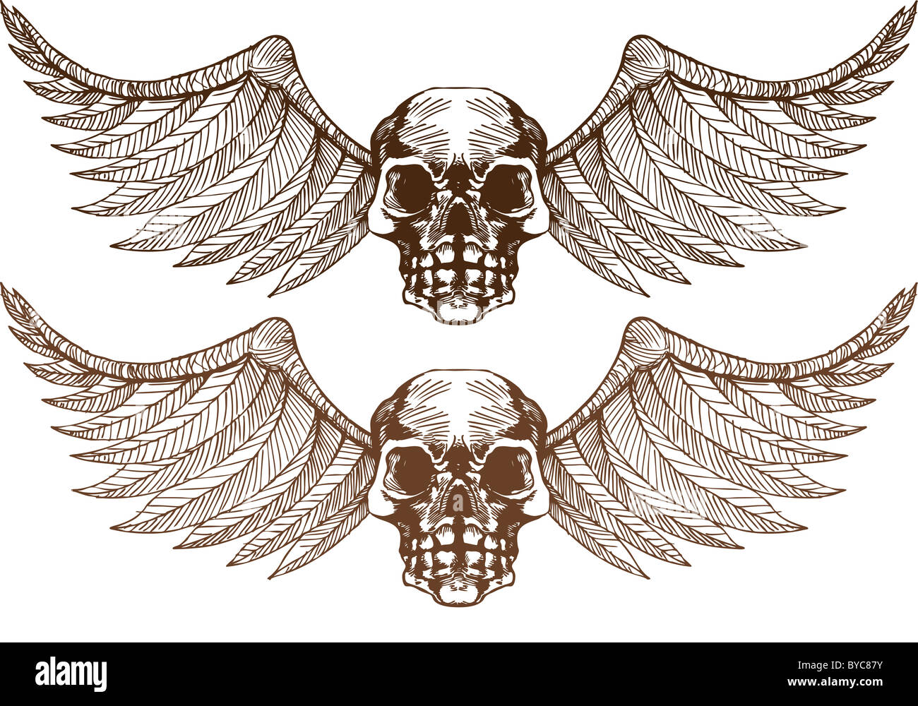 Set of 2 Winged Skulls Stock Photo - Alamy