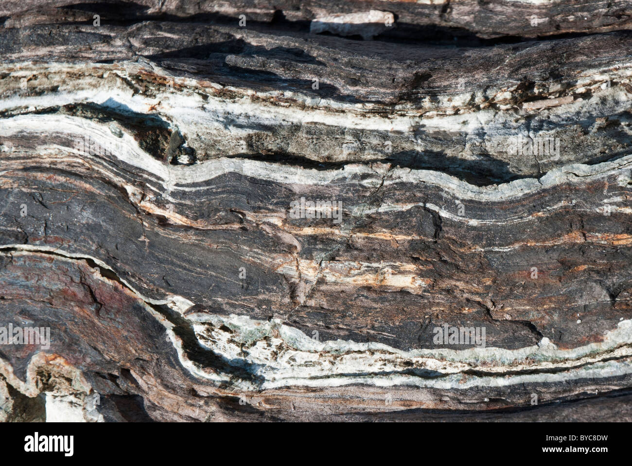 Closeup view of geology rocks Stock Photo - Alamy