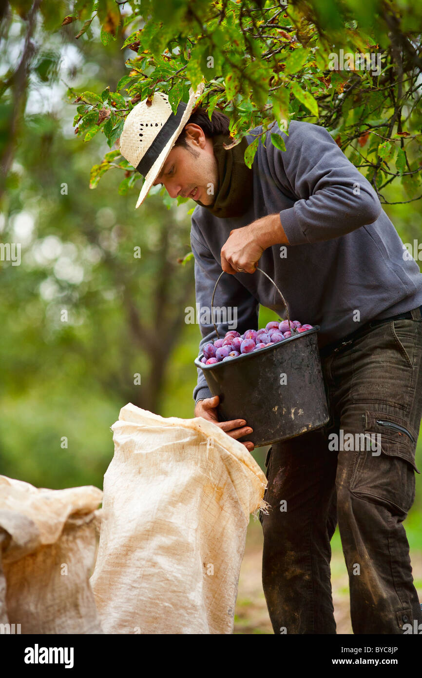 Young man in bucket hat hi-res stock photography and images - Alamy